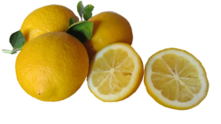 Lemons, without peel, raw nutrition facts and analysis.