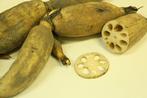 Lotus root, raw nutrition facts and analysis.