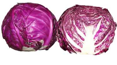 Cabbage, raw nutrition facts and analysis.