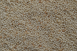 Couscous, cooked nutrition facts and analysis.