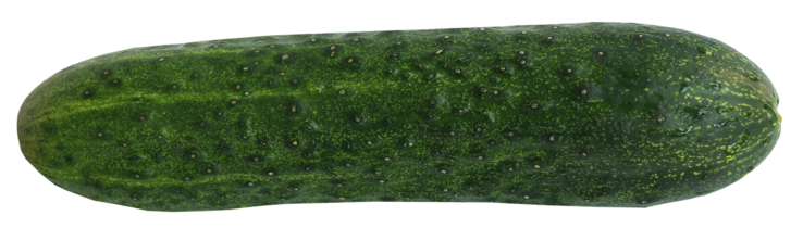 Cucumber, raw, peeled nutrition facts and analysis.