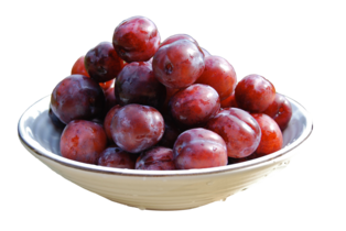 Plums, uncooked, dried (prunes) nutrition facts and analysis.